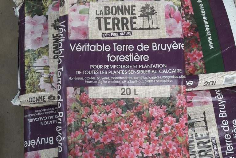 Terre de Bruyère de l'horticulteur 01 | Les Serres à Pépé