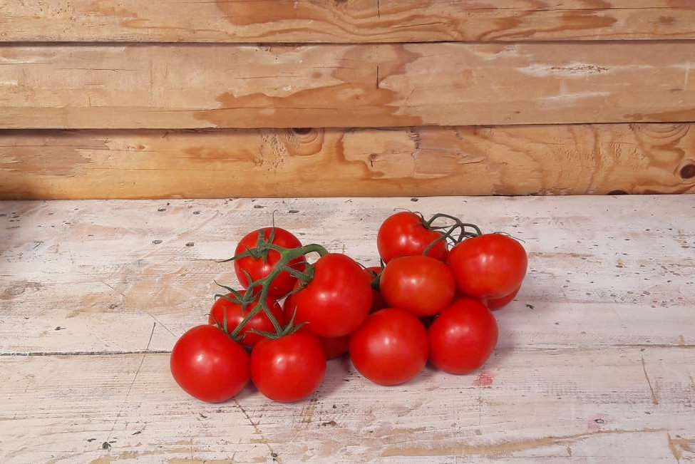 Tomate grappe 01 | Les Serres à Pépé